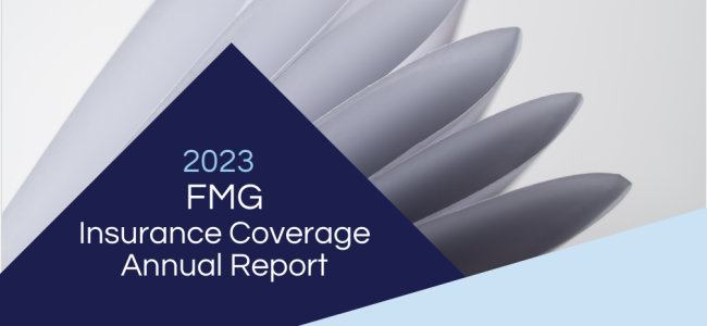 FMG’s Insurance Coverage Team Releases 2023 Annual Report - Freeman Mathis & Gary