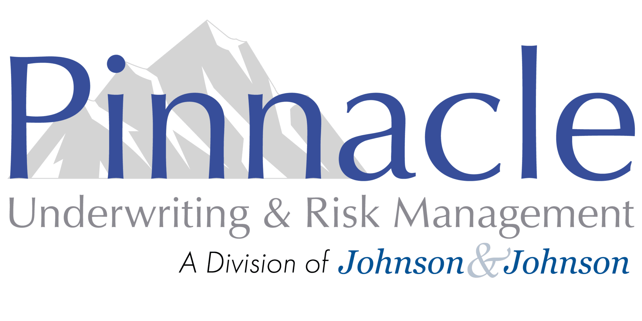 Pinnacle Underwriting & Risk Management Insureds - Freeman Mathis & Gary